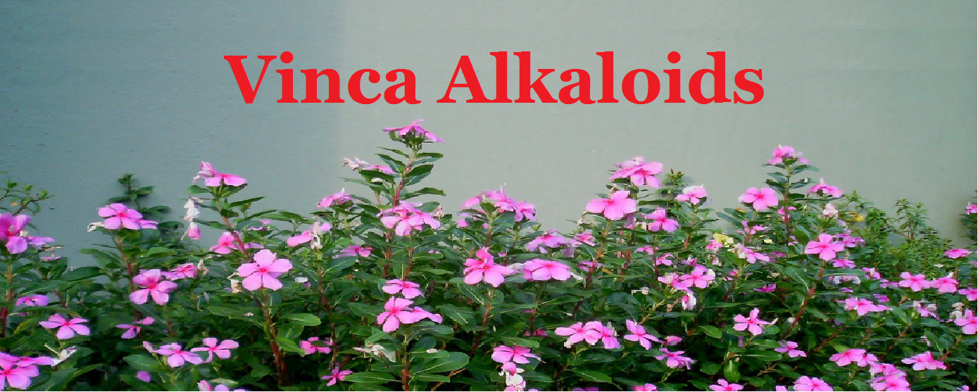 Alkaloids | VINCA