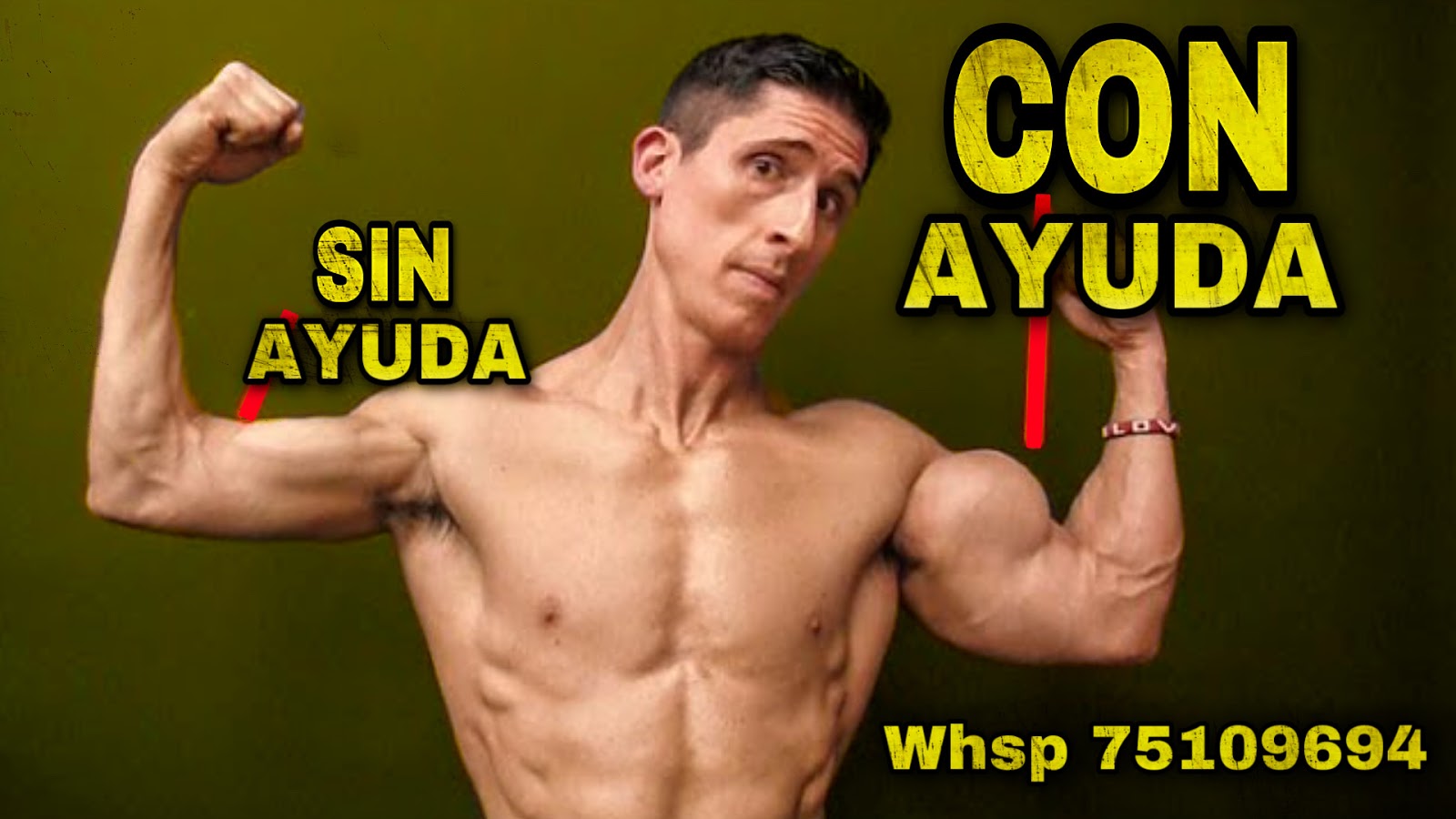 ANABOLICOS BOLIVIA: ETAPAS DE UN CICLO ANABOLICOS