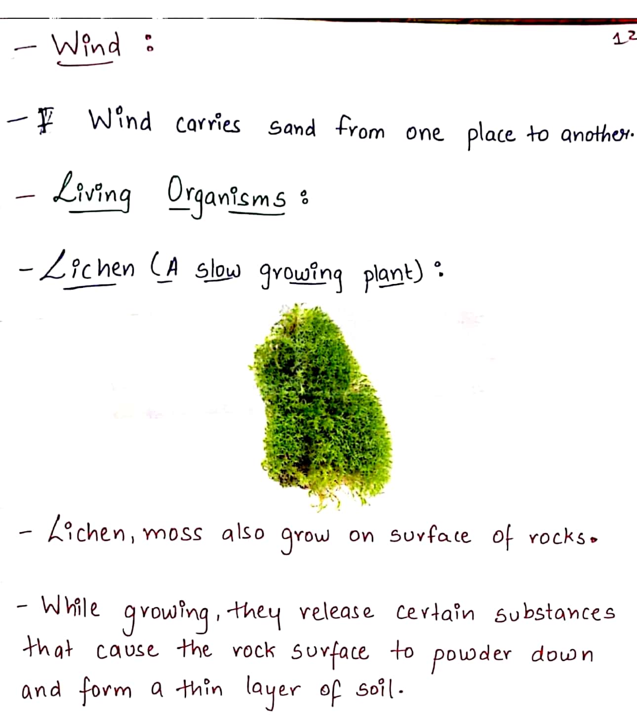 Natural Resources Class 9 Notes Studypur natural-resources-class-9-notes-studypur