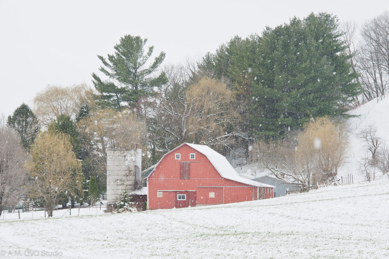 The Spotting Eye: Rural USA: Wisconsin Highway 82 (Near LaFarge, WI) #2