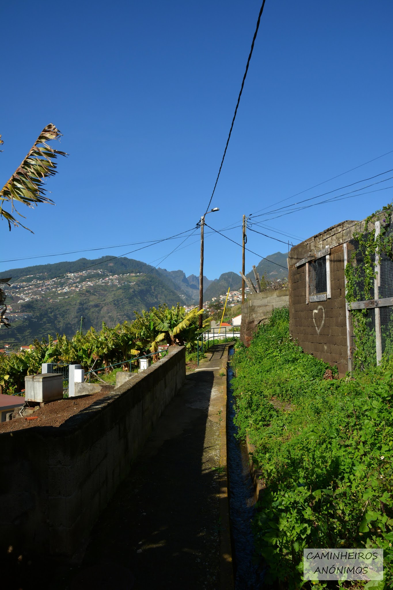 Caminheiros Anónimos Levadas da Madeira : Levada do Pico do Funcho (São ...