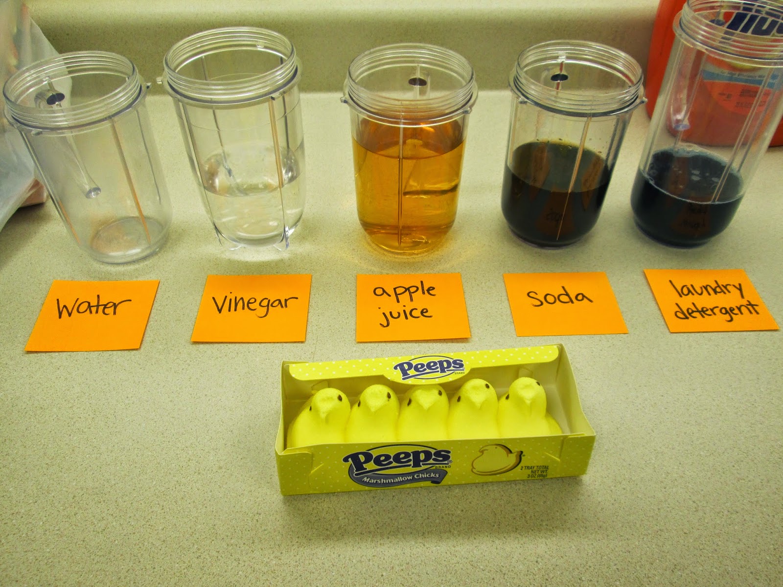 Adventures in Third Grade: Disappearing Peeps!