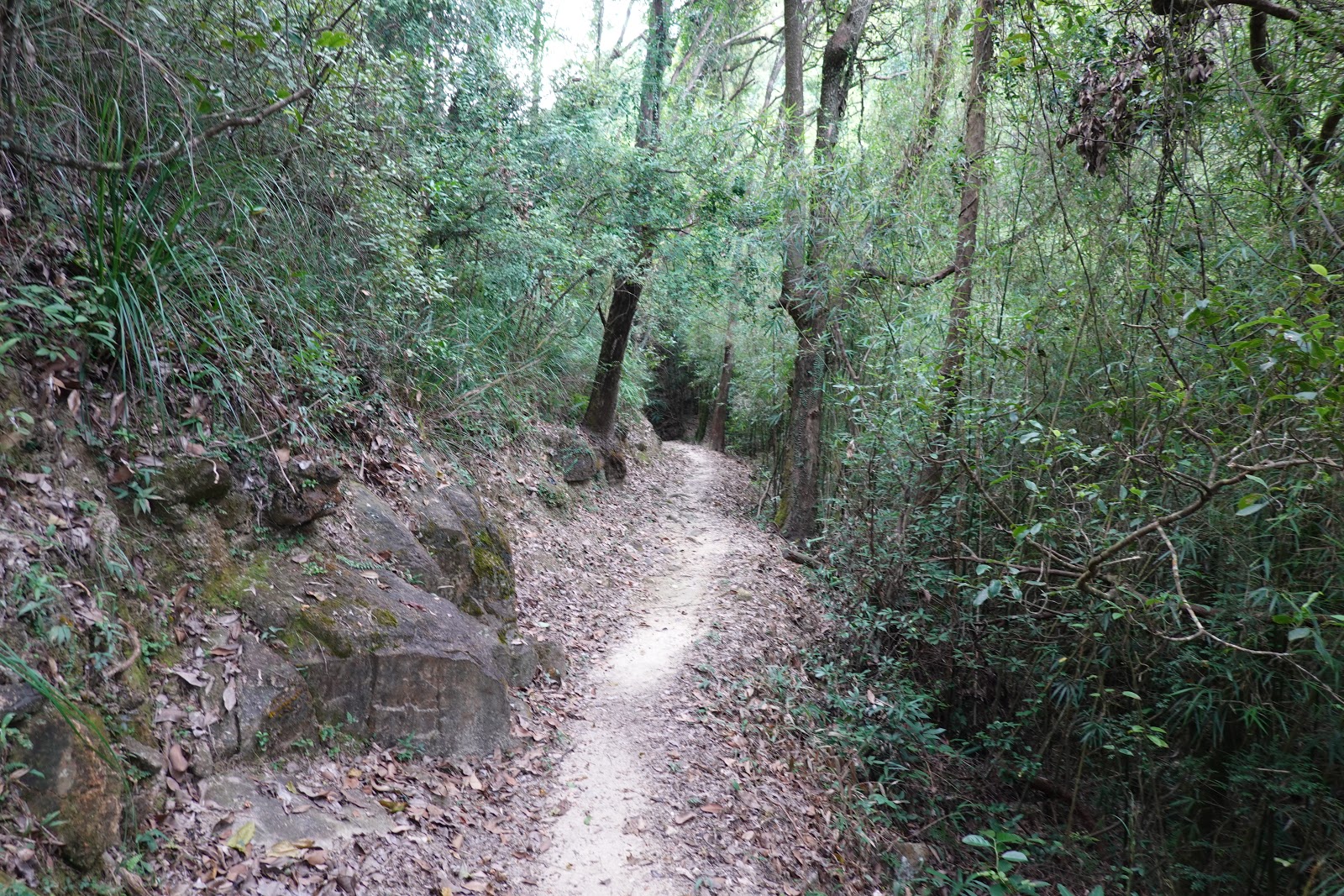 消耗五百食翻一千※香港行山記: 河背村→圓墩郊遊徑→深井 Ho Pui Village→Yuen Tun Country Trail→Sham ...