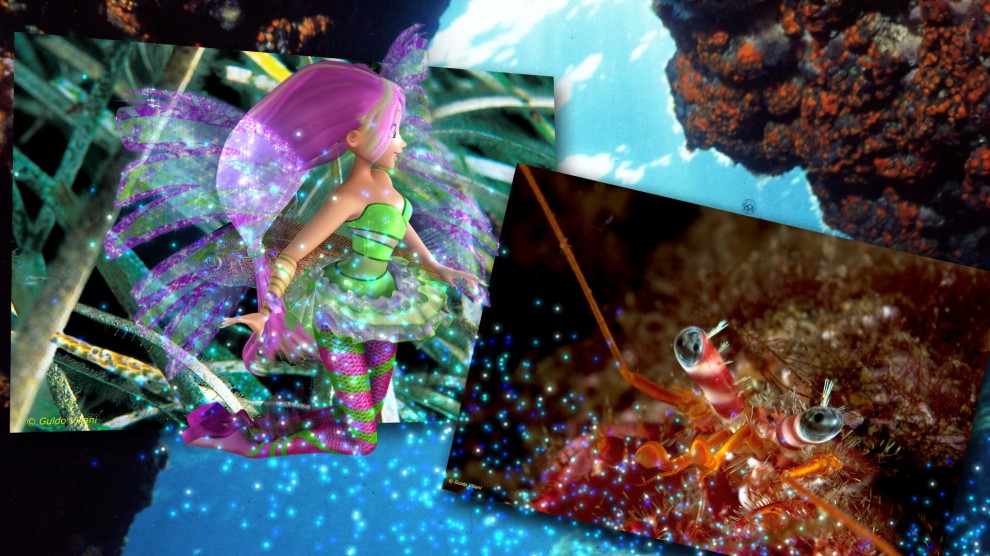 ¡El Winx Club Sirenix 3D visita la fauna marina de la Tierra! - Winx ...