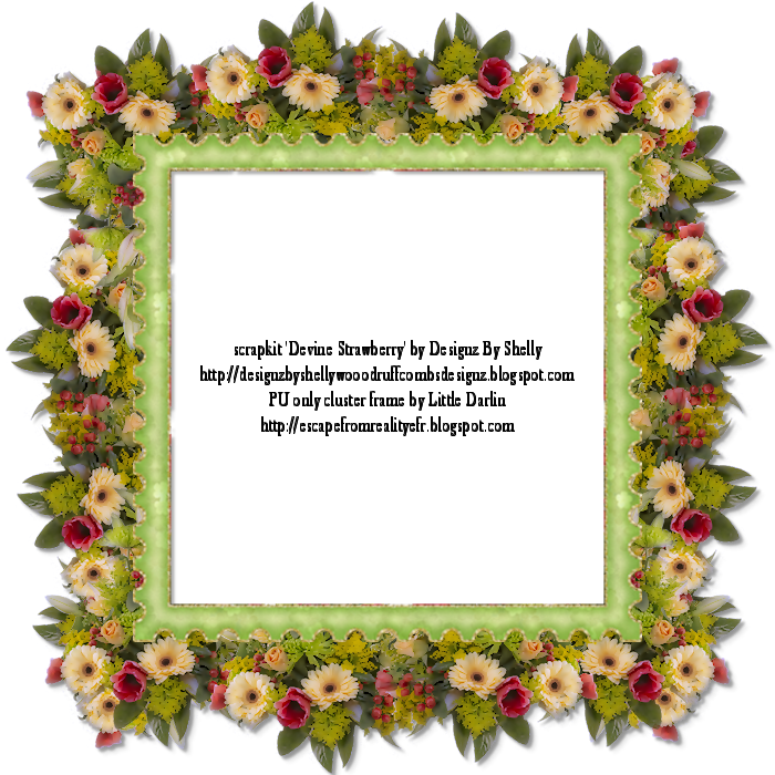 Escape From Reality Blog: Cluster Frames "Devine Strawberry" DBS - PU Only