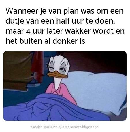 Plaatjes met grappige quotes en afbeeldingen met mooie spreuken om te ...