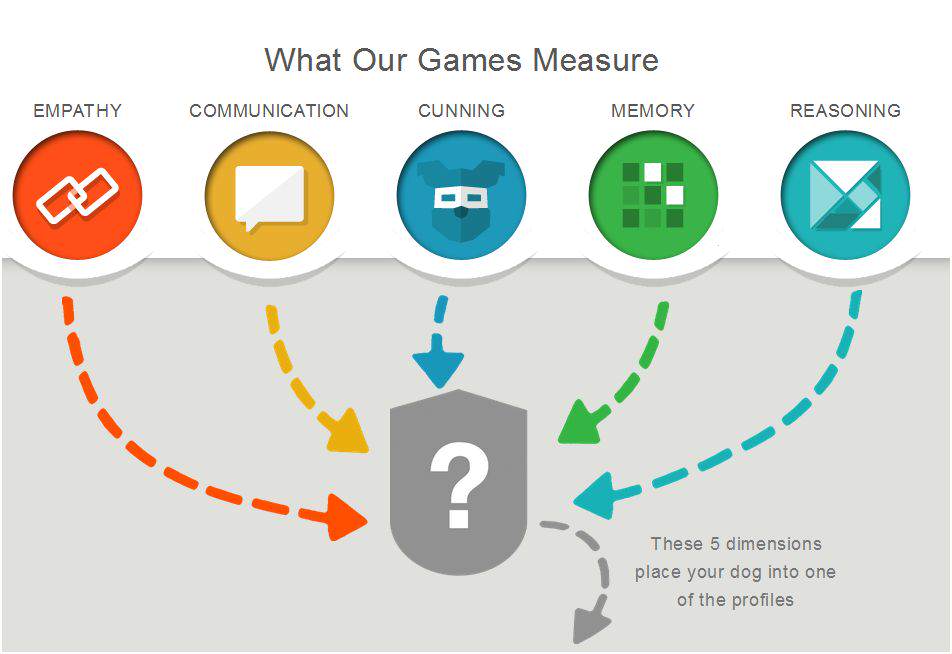 Dognition Review - Dog Intelligence Tests | Australian Dog Lover