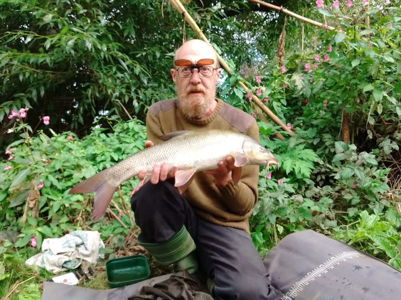 Jorvik Angler: The Ure Turns to Guinness