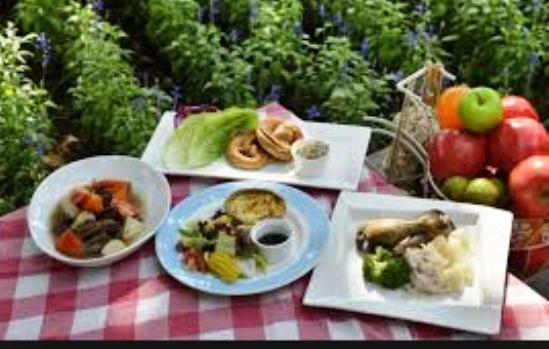 Menu Diet Sehat Sehari Penuh untuk Pemula