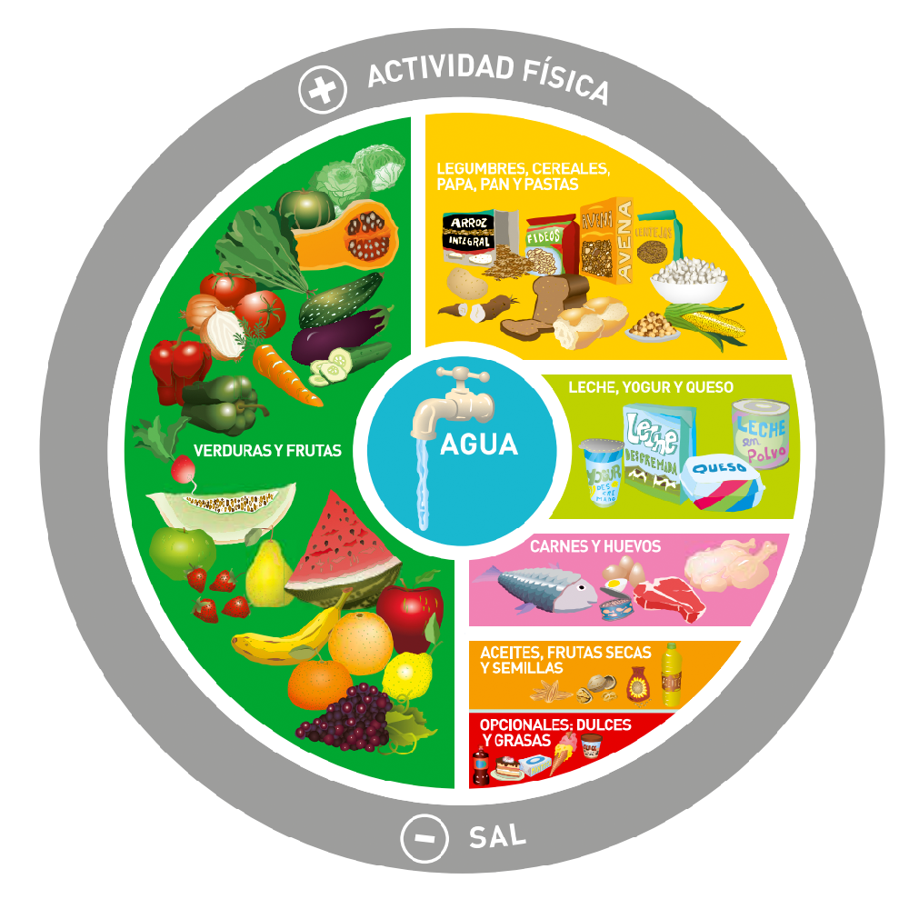 Mi Libro Digital de Educación Física: Hábitos alimentarios saludables ...