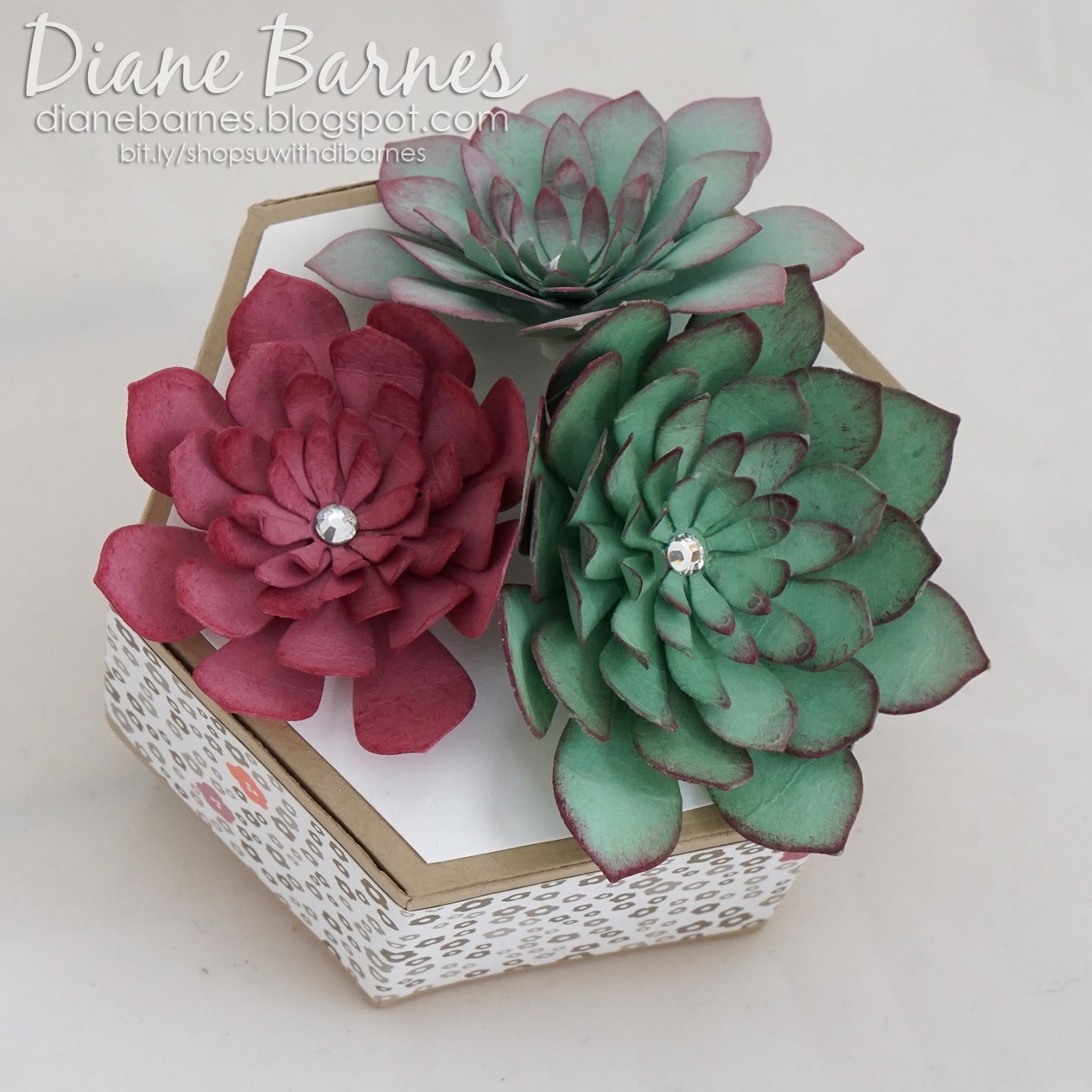 colour me happy: Oh So Succulent window box card & hexagon box