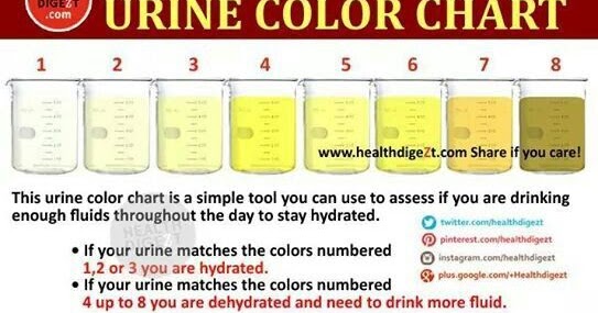 Kenali Warna pada Urine