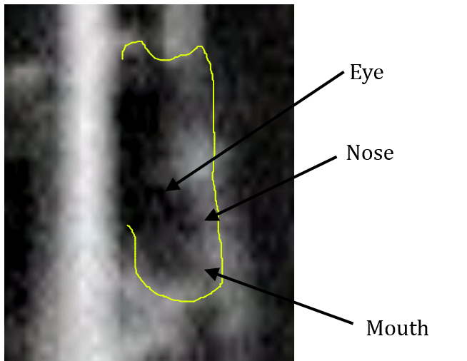 Dogman - The Monsters are Real: The "Haymarsh Dogman" Photograph