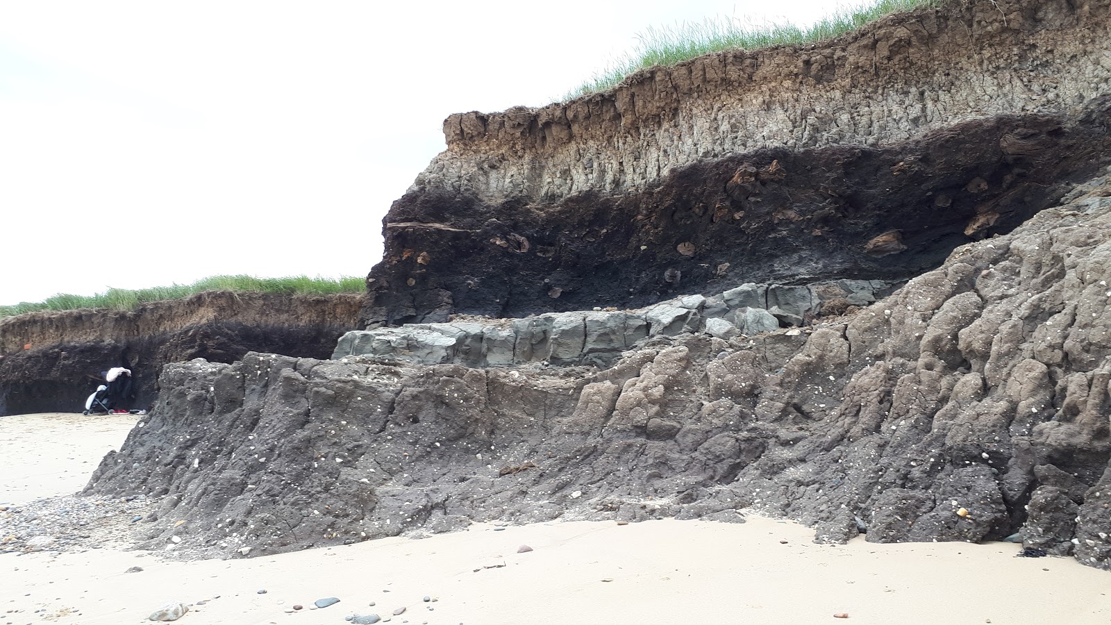 Wild at Hull: Migrants Way. Stage 11. Atwick to Skipsea