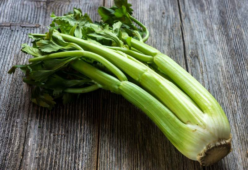 El Céleri conocido también como Apio España