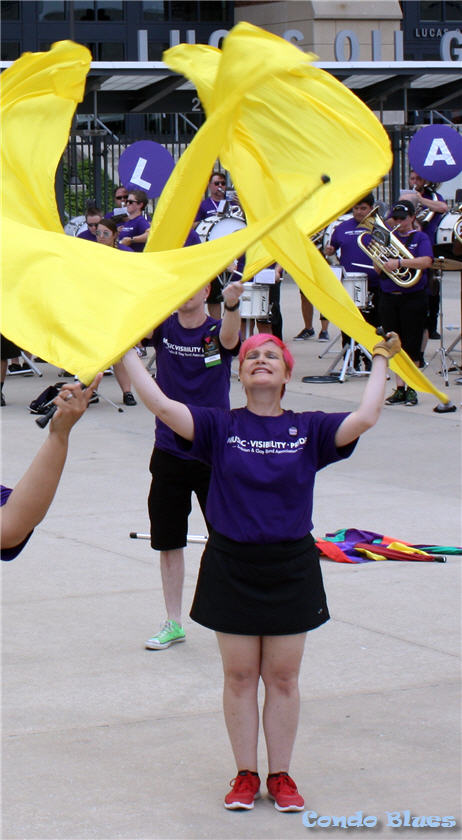 Color Guard Swing Flags