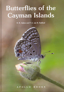 CaymANNature: Cayman CREATURES