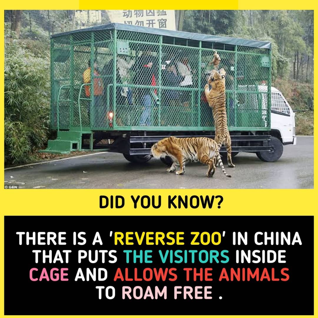 Amazing Facts Interesting Fact Unbelievable Facts 7 amazing-facts-interesting-fact-unbelievable-facts-7