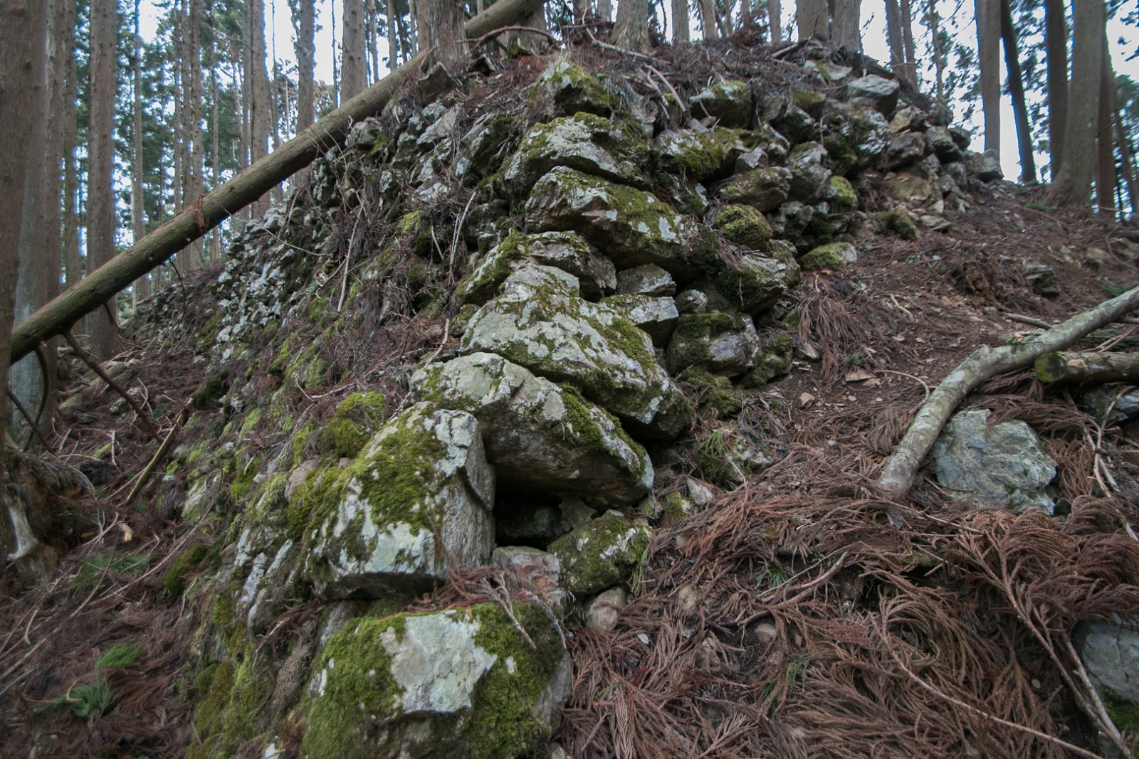Shuzan Castle -Time to treason (9) capturing remaining part of Tanba ...