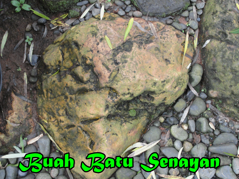 Buah Batu Senayan Online