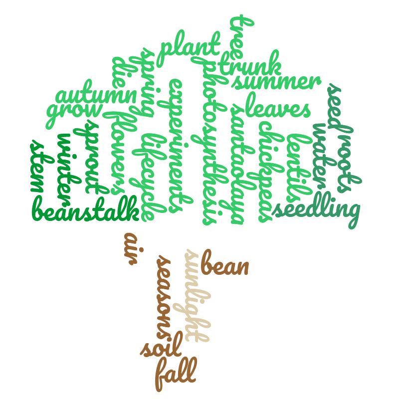 PLANTS BRAINSTORMING | TEACHER´S STUFF