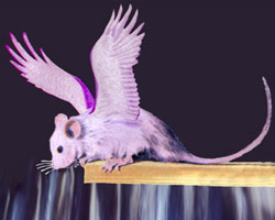 Τειρεσίας: Ratas con Alas