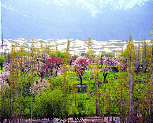 Pakistan Visiting Plases: Skardu Pakistan