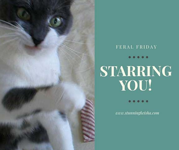 Feral Friday Starring You! | Stunning Keisha