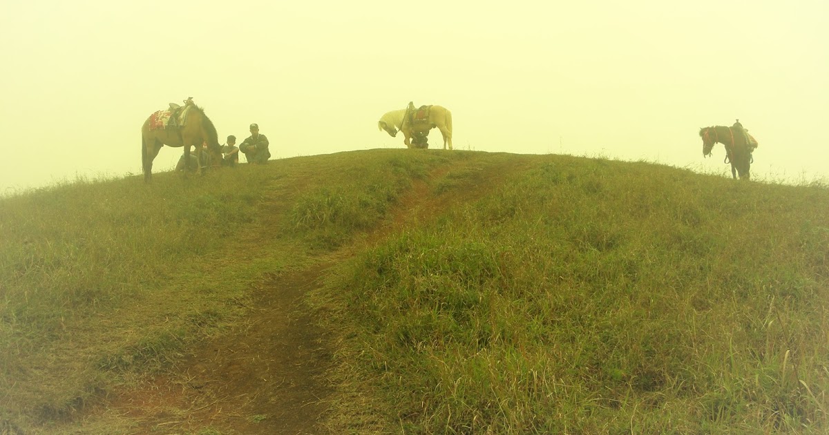 Mt. Yangbew in La Trinidad, Benguet Engulfed by a Sea of Clouds and Mist