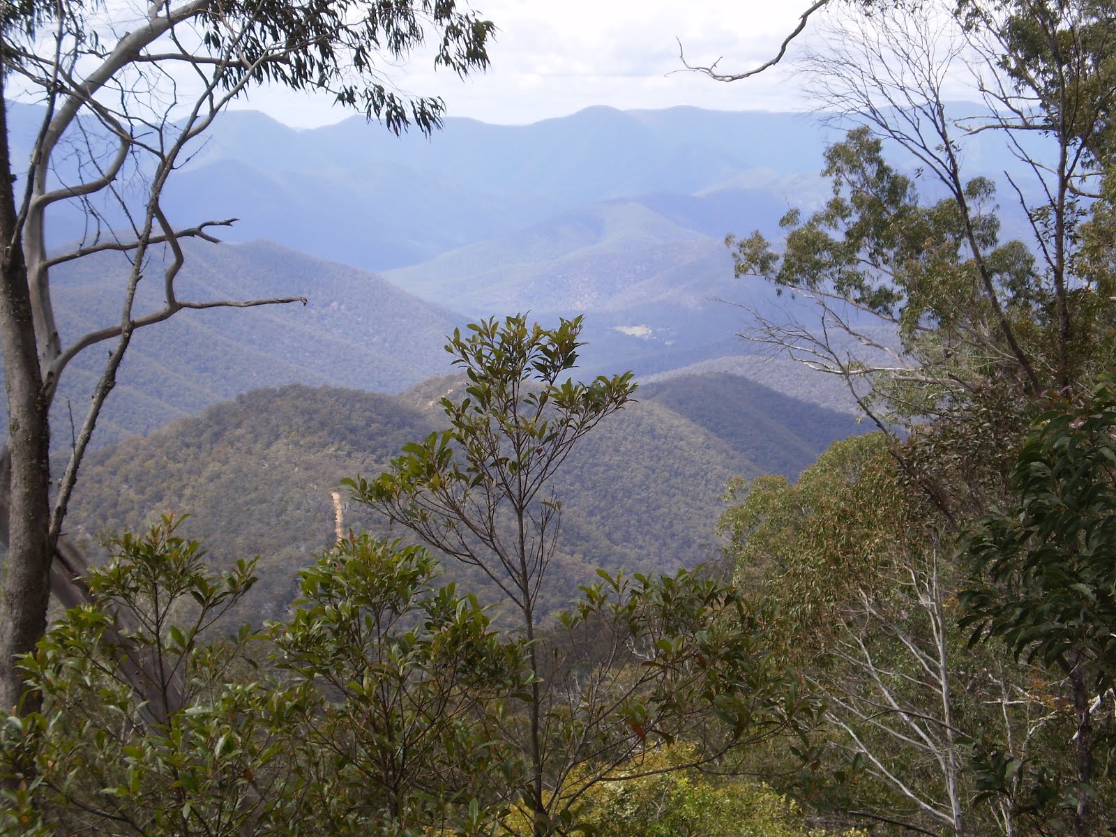 Phil's Bushwalking Blog: Deua National Park: Wyanbene Trig and Minuma Range
