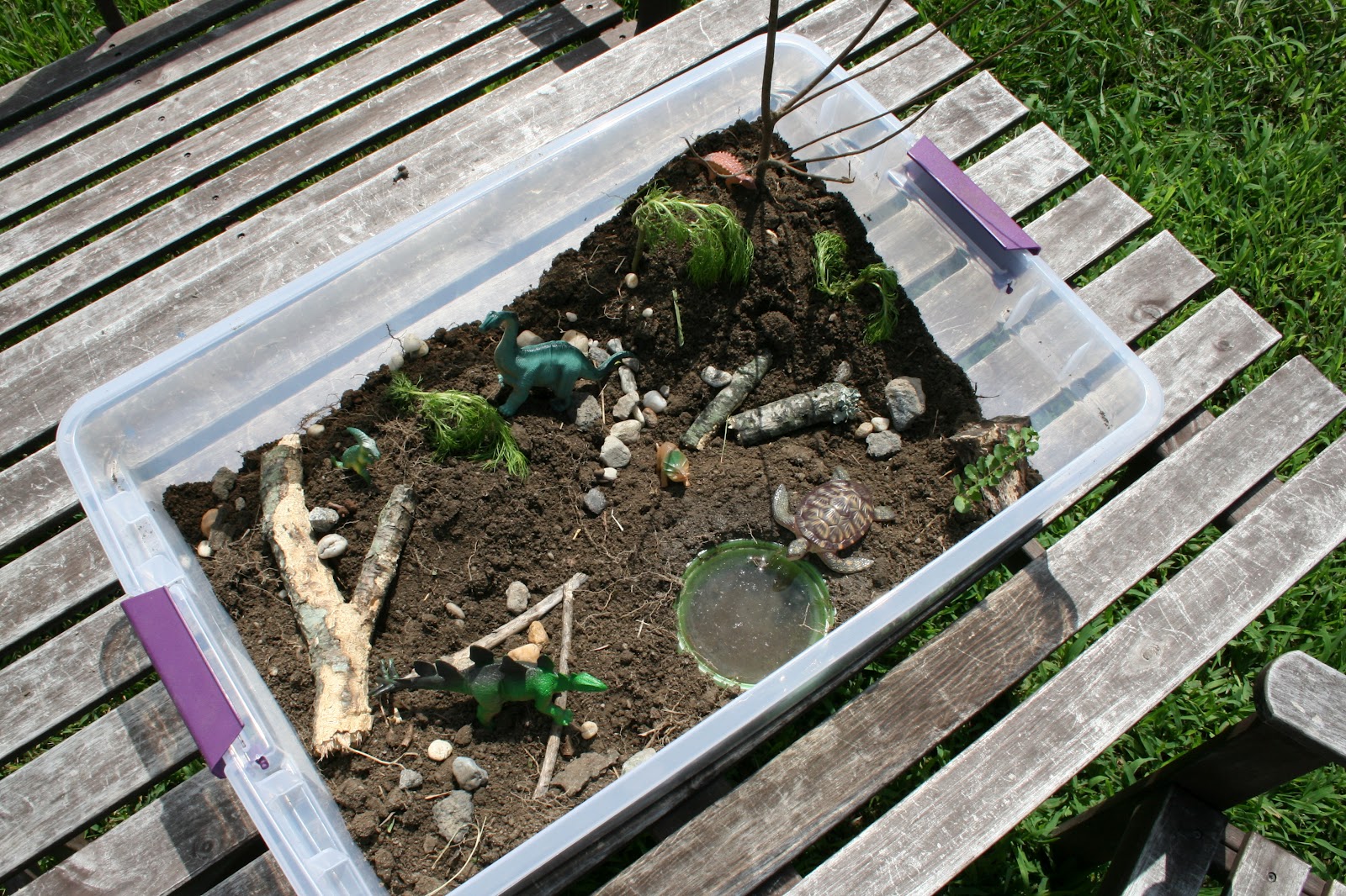 Bits & Baubles: Dinosaur "Place": Dinosaur Sensory Table