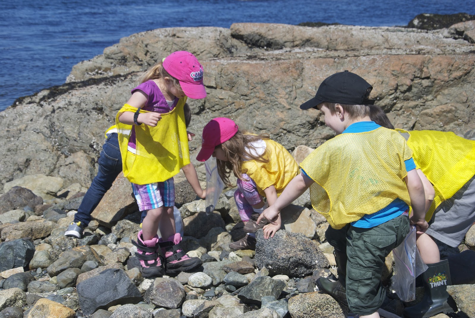Yellow Crew, Macaulay Kindergarten!: Second Beach Field Trip on Wednesday