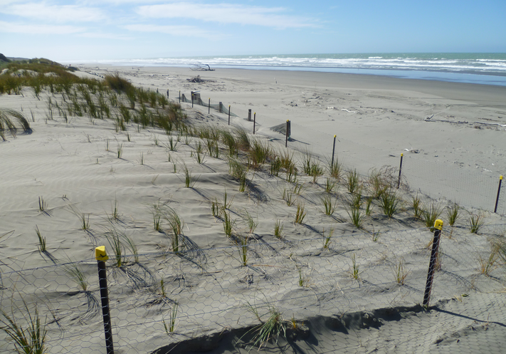 AS Geography : Coastal Erosion- Soft engineering methods.
