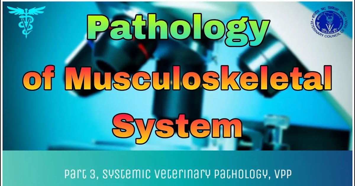 Pathology of Musculoskeletal System.