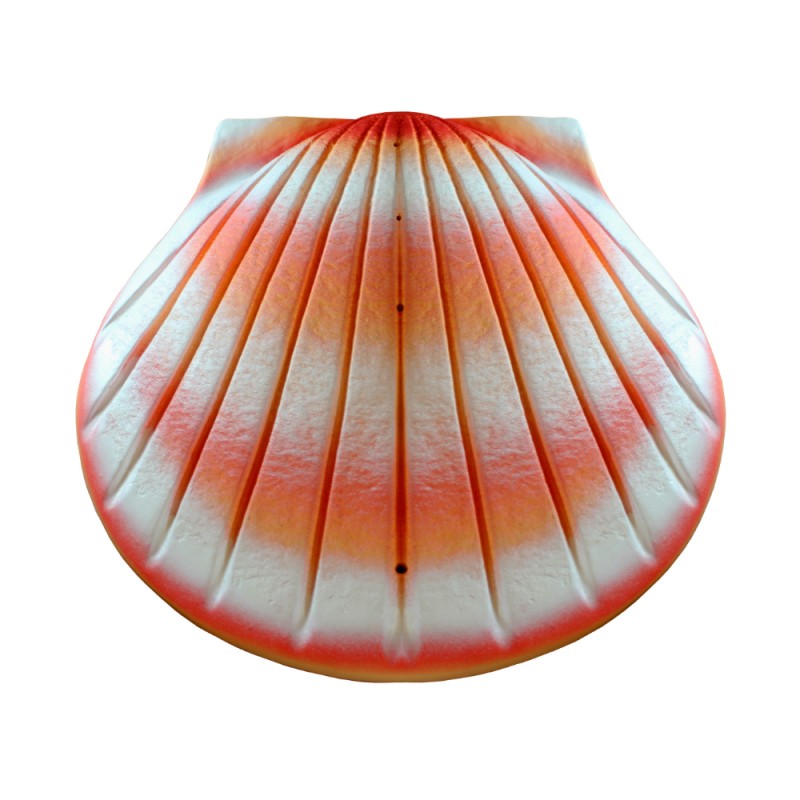 'ZIEN EN WETEN': SCHELP.