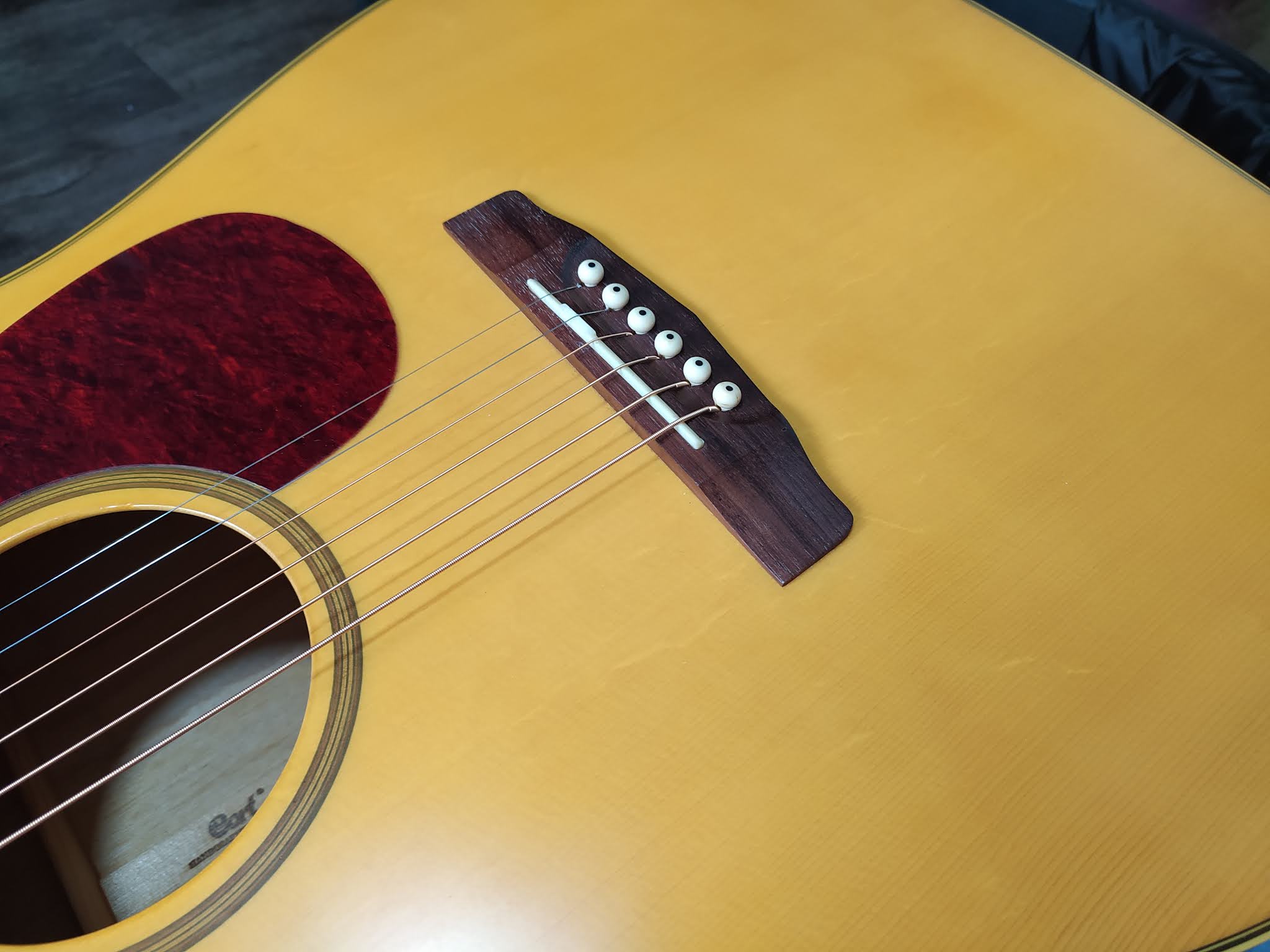 Cort MR-710F | The First Maple | Chords Haven