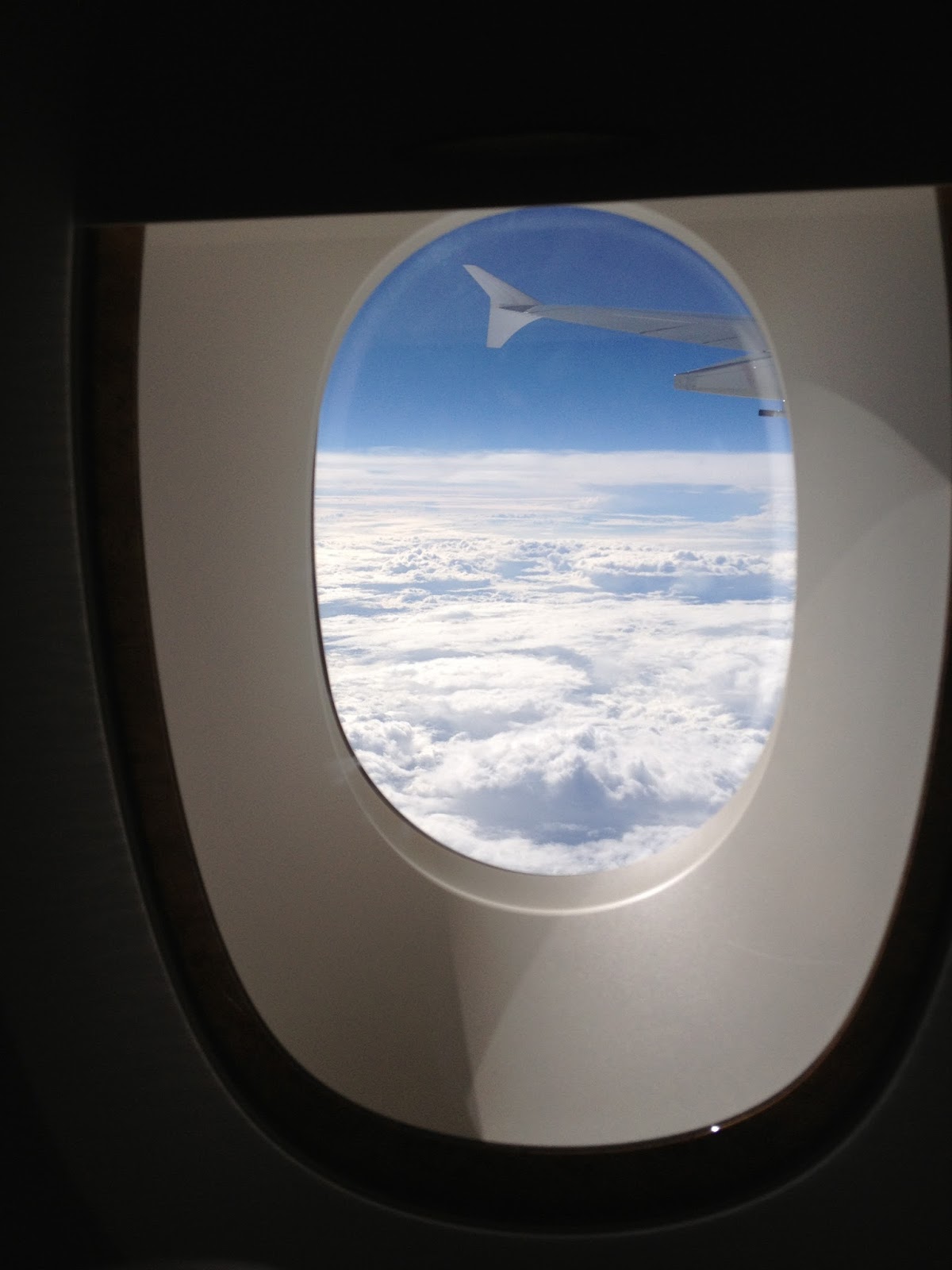 Flights Insider: A Long-Haul Flight with A380 [Emirates Airlines] EK ...