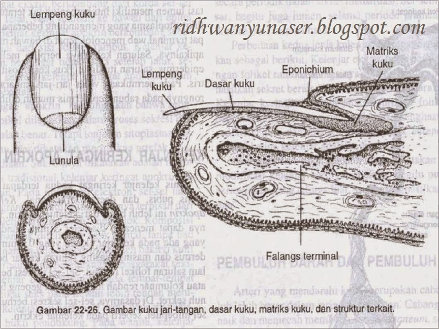 Berbagi Ilmu Yukk!!!