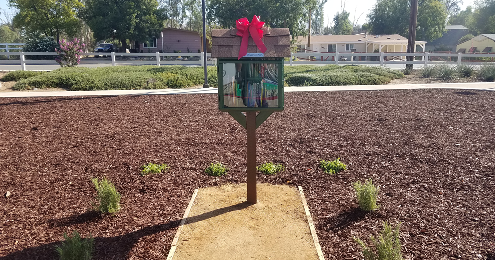 Wildomar Rap: • Little Free Library/Eagle Scout Project In One