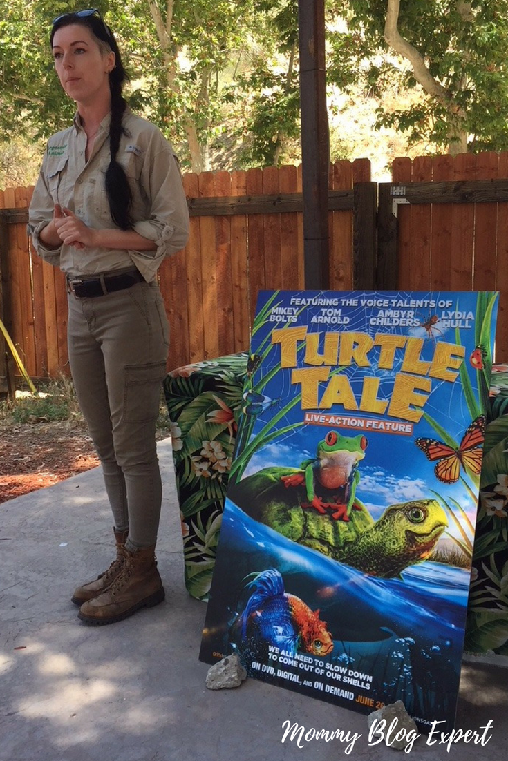 MOMMY BLOG EXPERT: Real Turtles Talk in Kids Live Action Movie Turtle ...