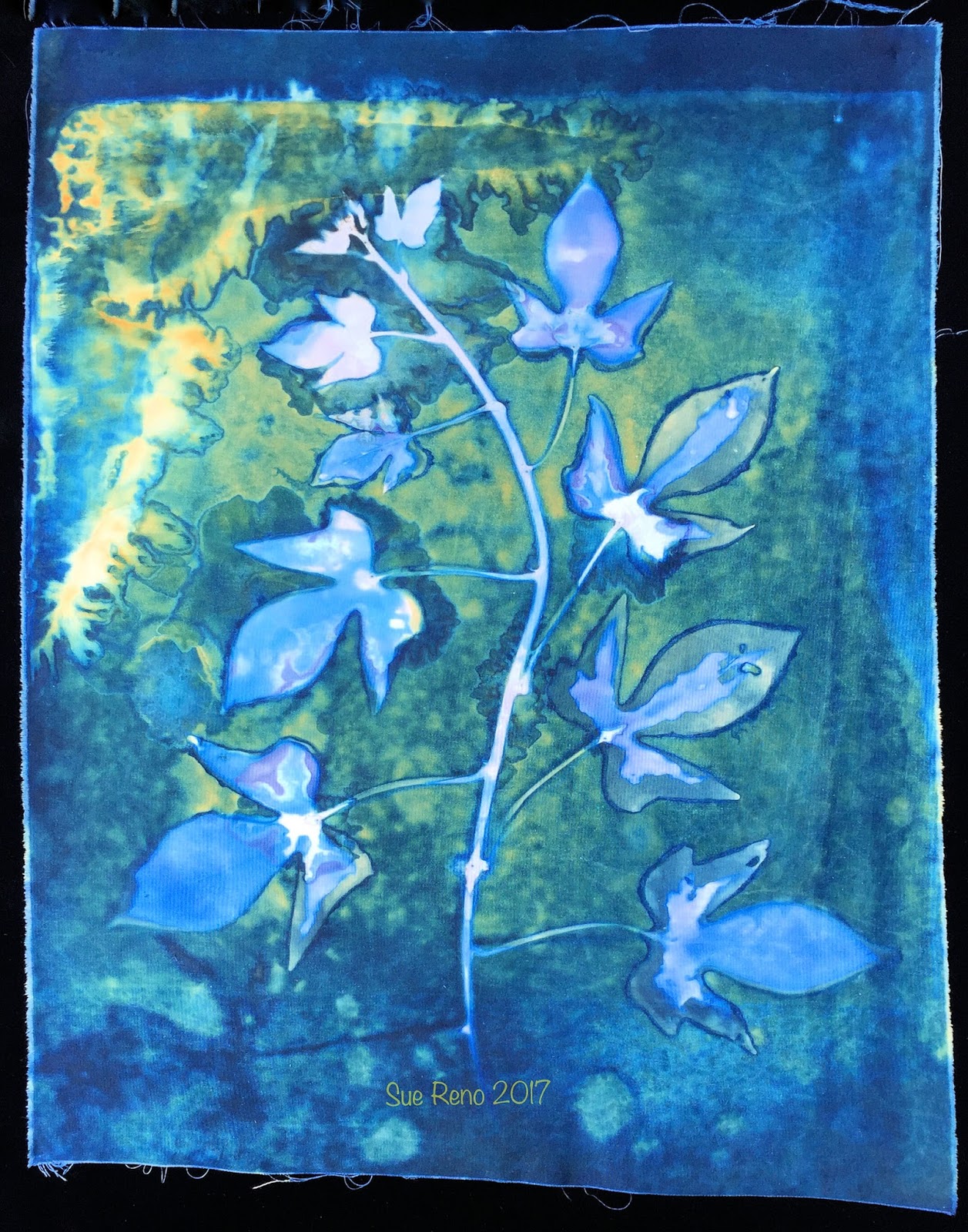 Sue Reno Studio: Experiments in wet cyanotype - Part 5
