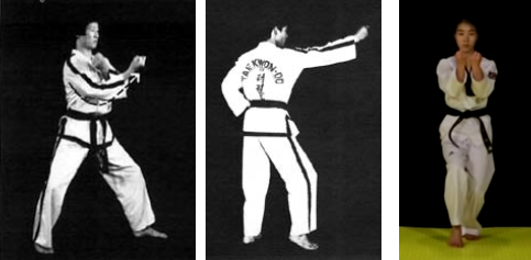 Foot Fist Way: 28. Striking targets for middle knuckle punch