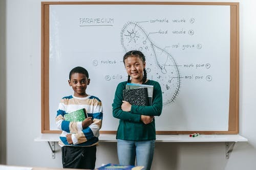 ECE Training and School Management