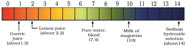 Chapter 2: Acids, Bases and Salts | CBSE Class 10 | NCERT Notes ...