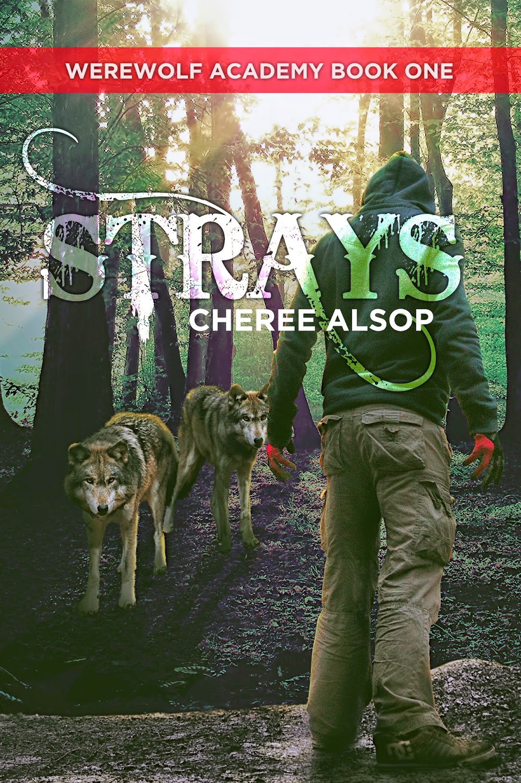 Kimber Leigh Writes: Series Spotlight: Strays & Hunted - Books 1 & 2 of ...
