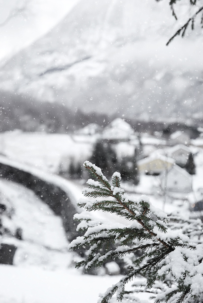 Christmas Tumblr Snow