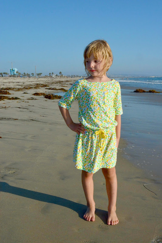 Aesthetic Nest: Sewing: The Bateau Neck Dress (Pattern Extension)