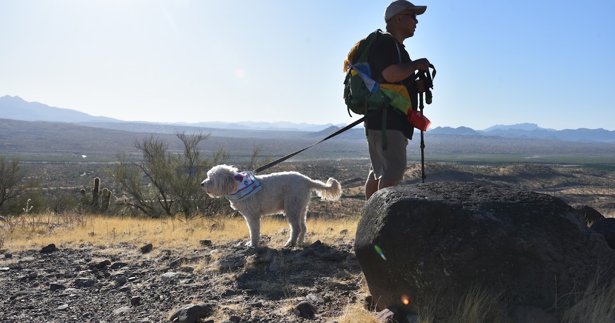 Arizona Hiking: Lousley Hill Trail