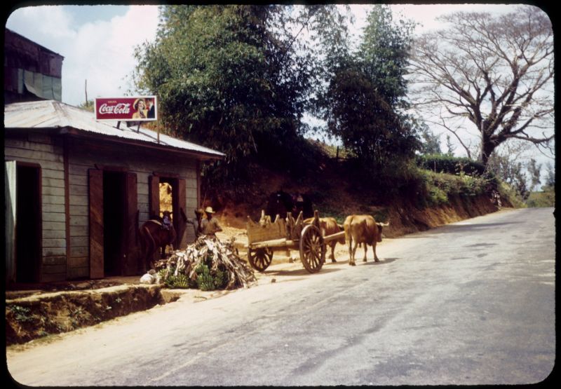 Everyday Life of Puerto Rico in the Mid-1940s Through Amazing Color ...