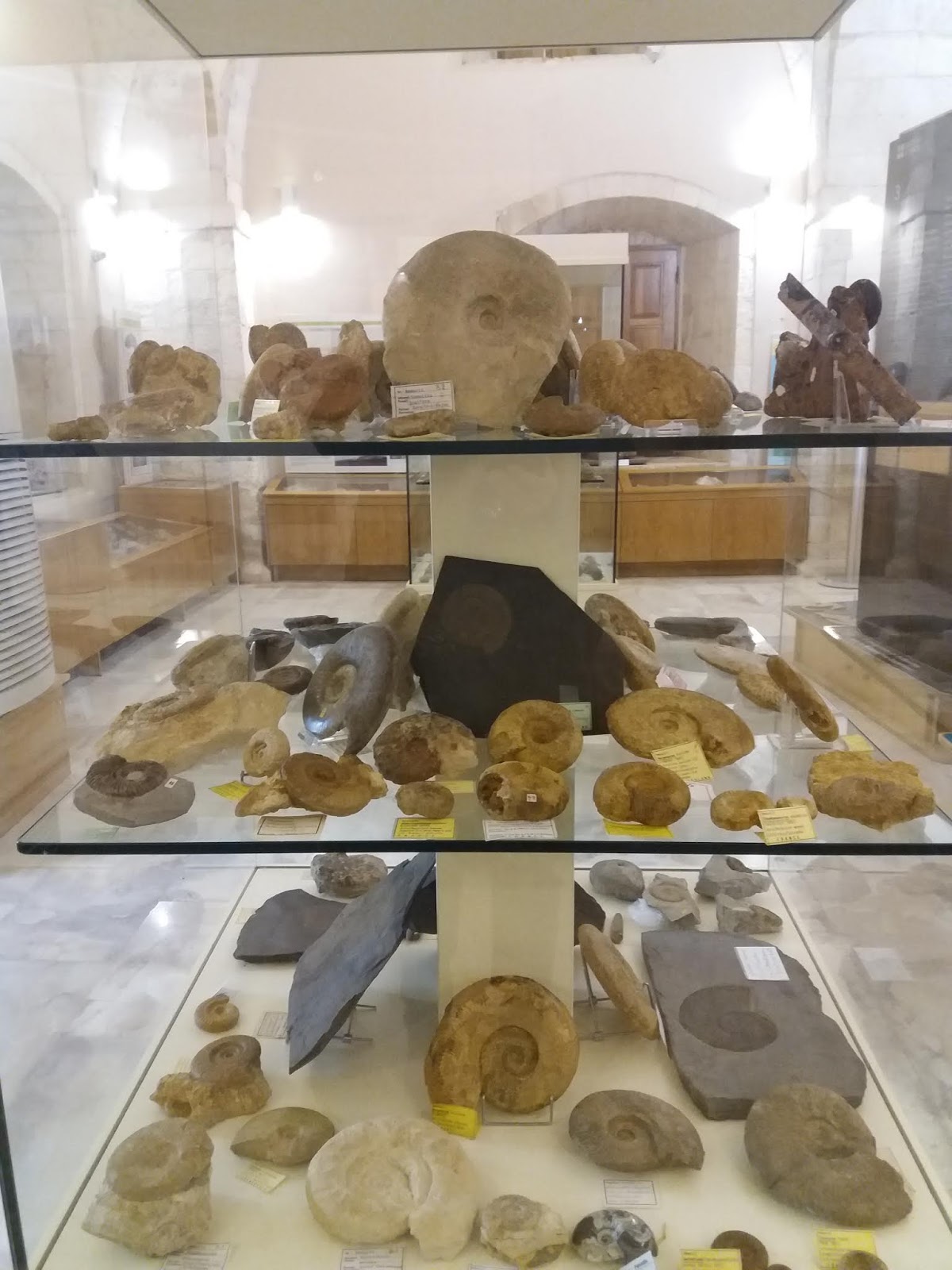 ΠΕΡΙΒΑΛΛΟΝΤΙΚΗ ΕΚΠΑΙΔΕΥΣΗ